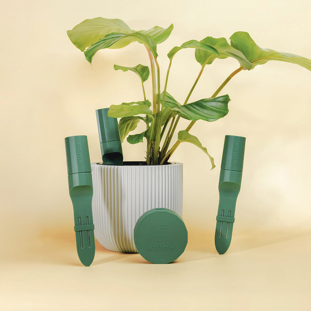Smart Plant Sensor | Interactive Plant Monitor | Plant With Willow – PW ...